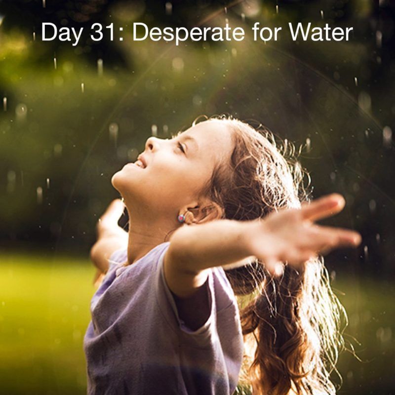 Pray for Rain Day 31: Thank God for the Rain - The Daily Declaration