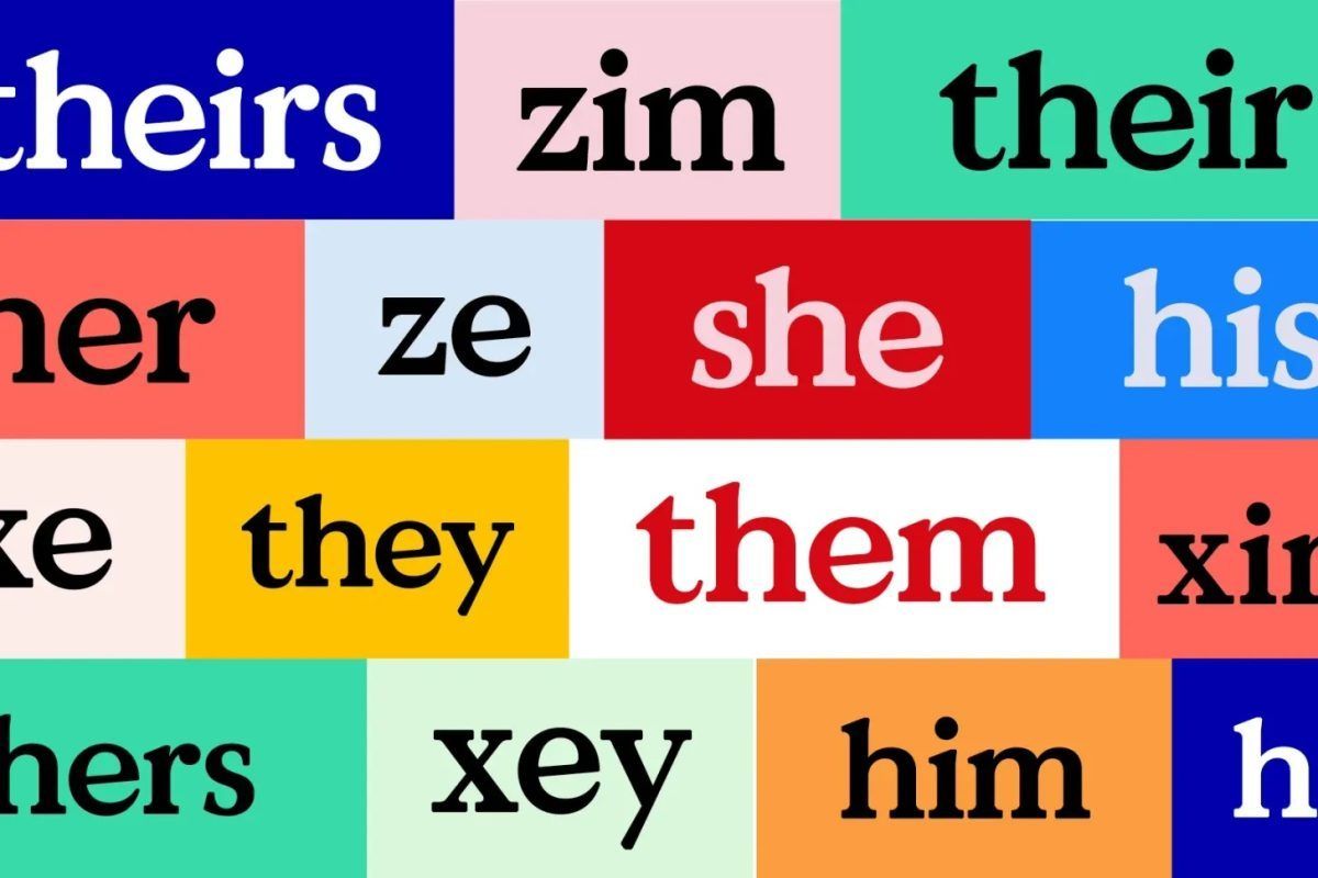 Pronouns: Dumb/Dumber - The Daily Declaration