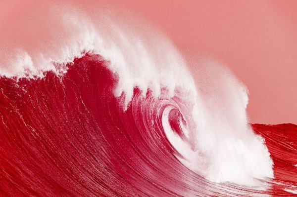 Calling Intercessors to Catch the Red Wave! - The Daily Declaration