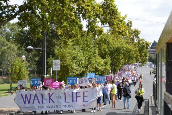 Join Thousands in Sydney's Inaugural Walk for Life! - The Daily Declaration