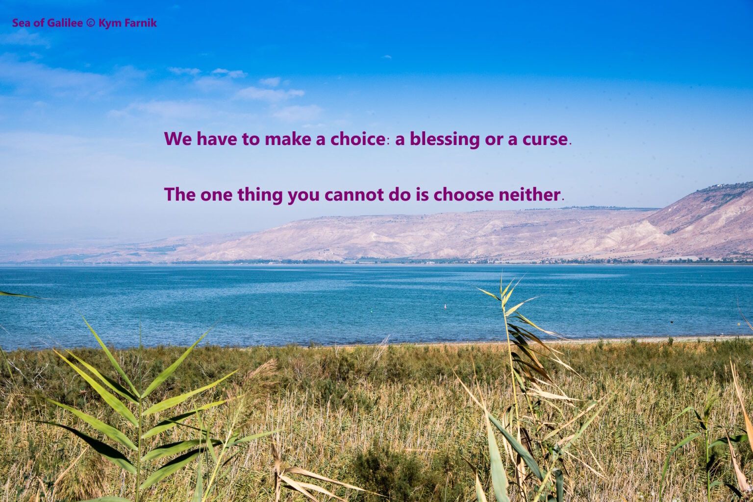 Why Cursing Israel Invokes a Curse: A Christian Call to Bless God’s ...